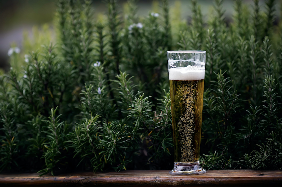 The Best Beer Gardens in London Right Now - Bloc Nearby